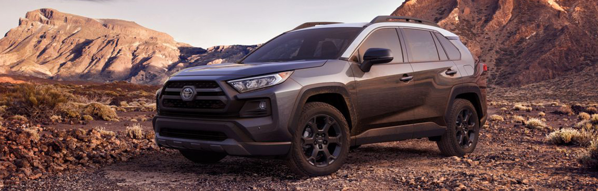 2020 Toyota RAV4 Overview: Key Features, Specs, and More